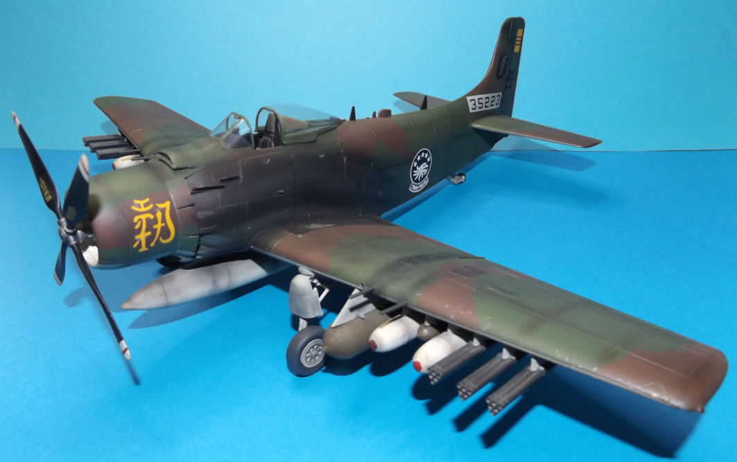 Douglas A-1H (Wayne Eagles Gallery) - The Little Aviation Museum